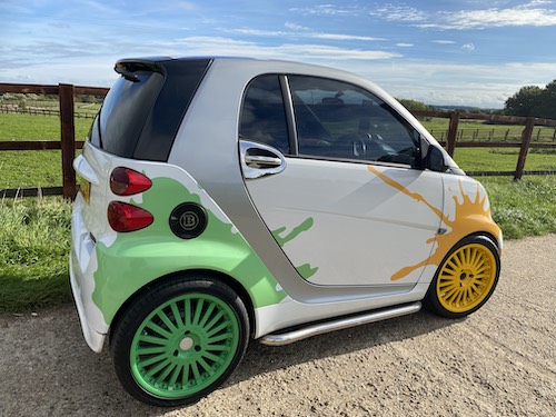 Custom Smart Car